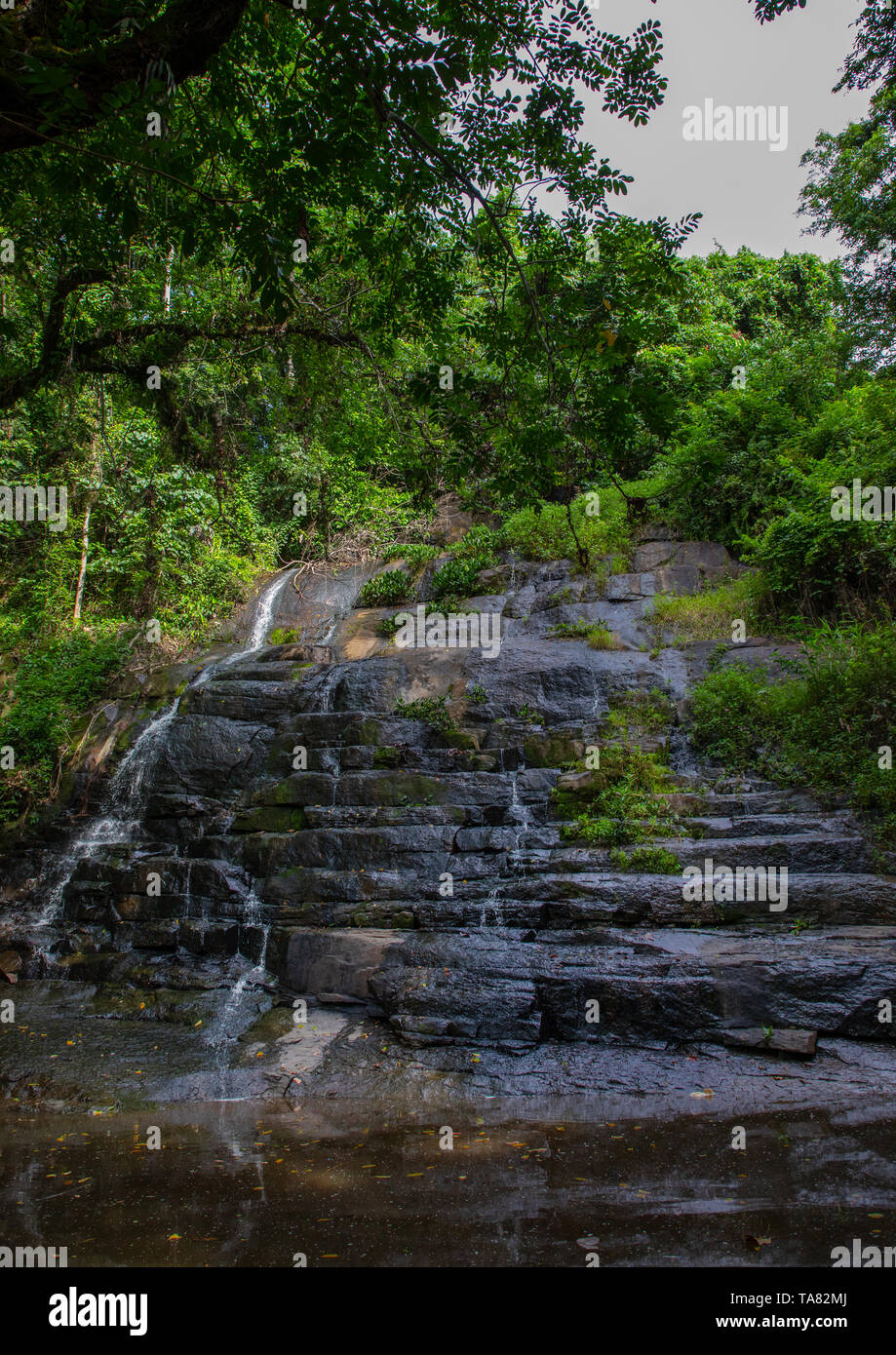 Summertime image hi-res stock photography and images - Alamy