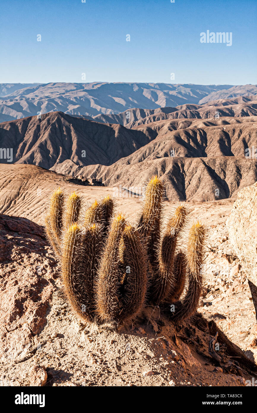 Arid environment of Peruvian desert. Nasca, Department of Ica, Peru ...