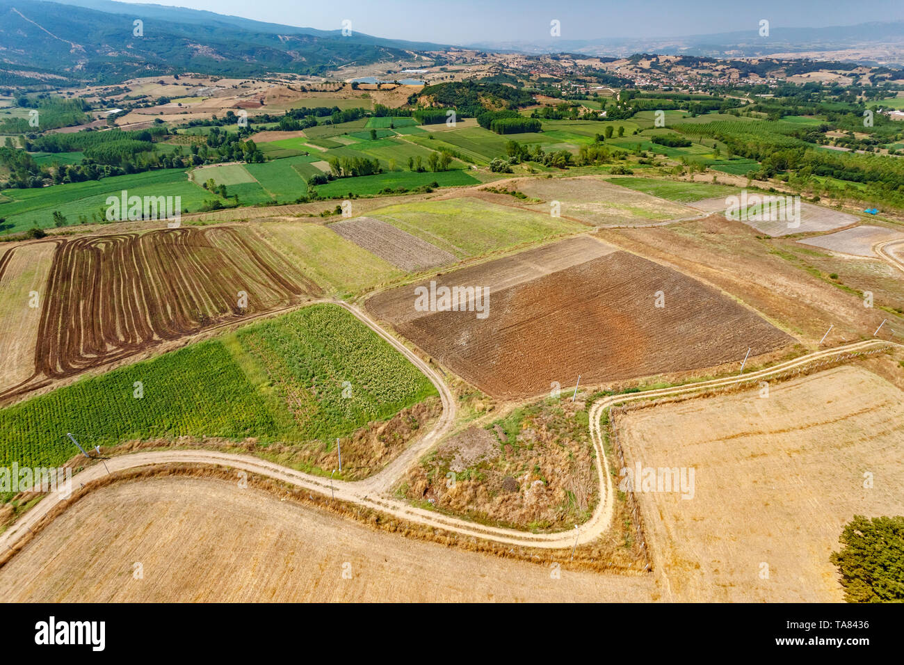 Aerial vegetable farm field hi-res stock photography and images - Alamy