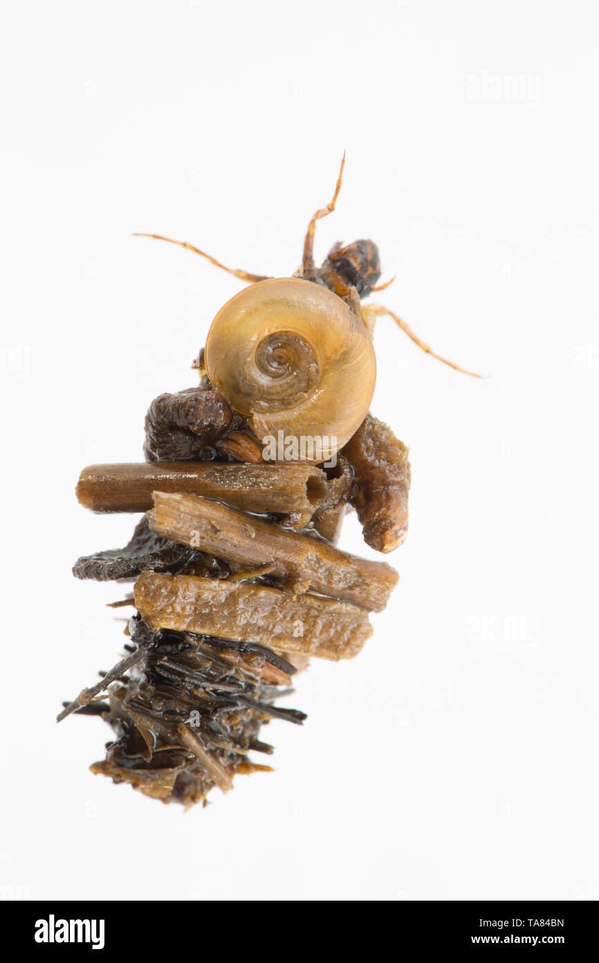 Natural lake uk Cut Out Stock Images & Pictures - Alamy