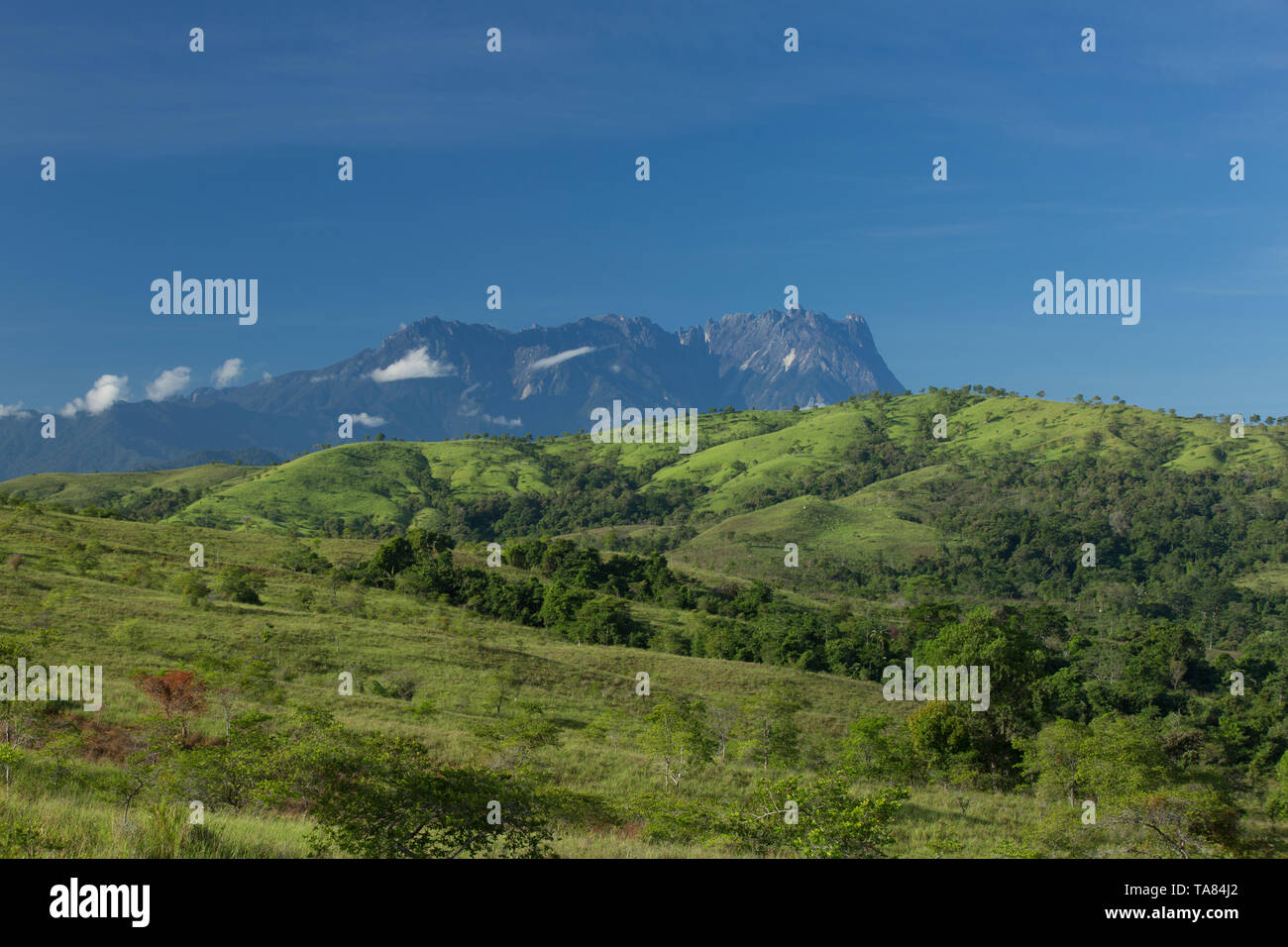 Landscapes Mount of Kinabalu,Sabah,Malaysia. Mount Kinabalu iconic of ...