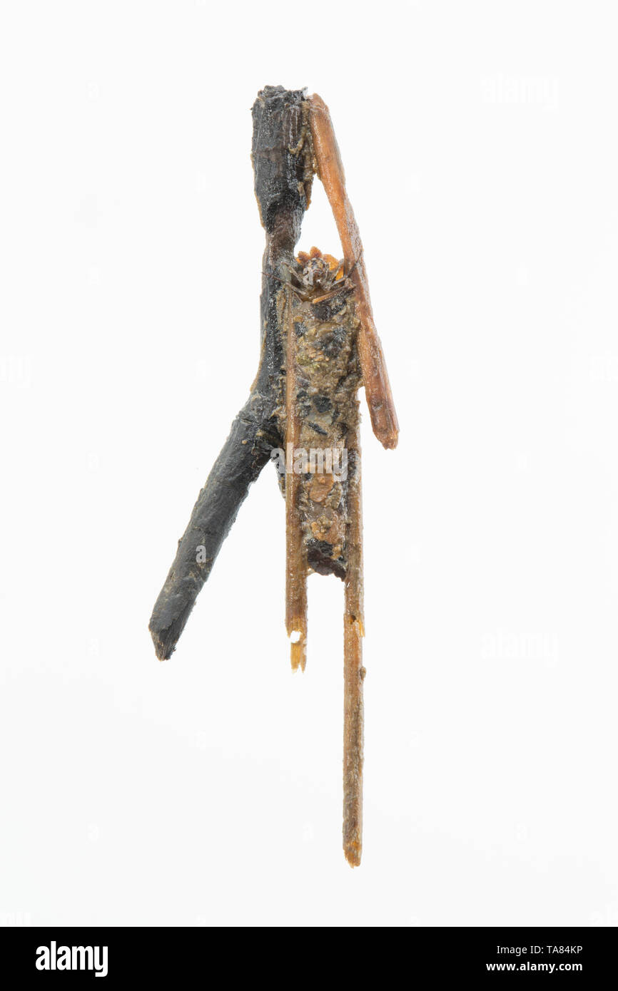 Natural lake uk Cut Out Stock Images & Pictures - Alamy