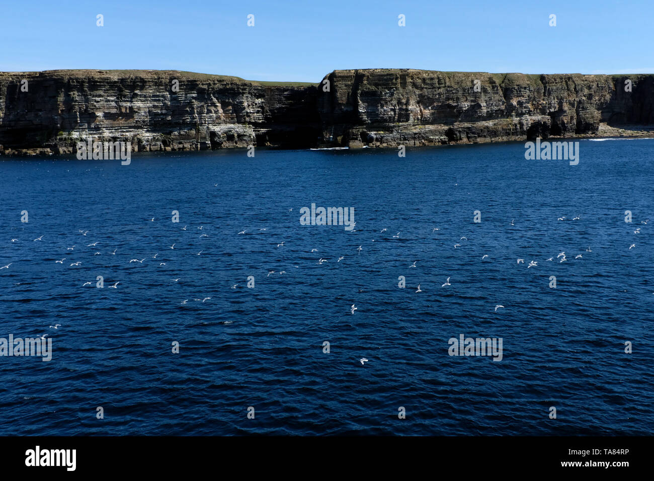 Stroma Scotland High Resolution Stock Photography and Images - Alamy