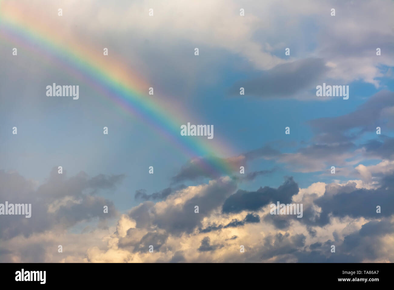 Fantasy illustration wallpapers hi-res stock photography and images - Alamy