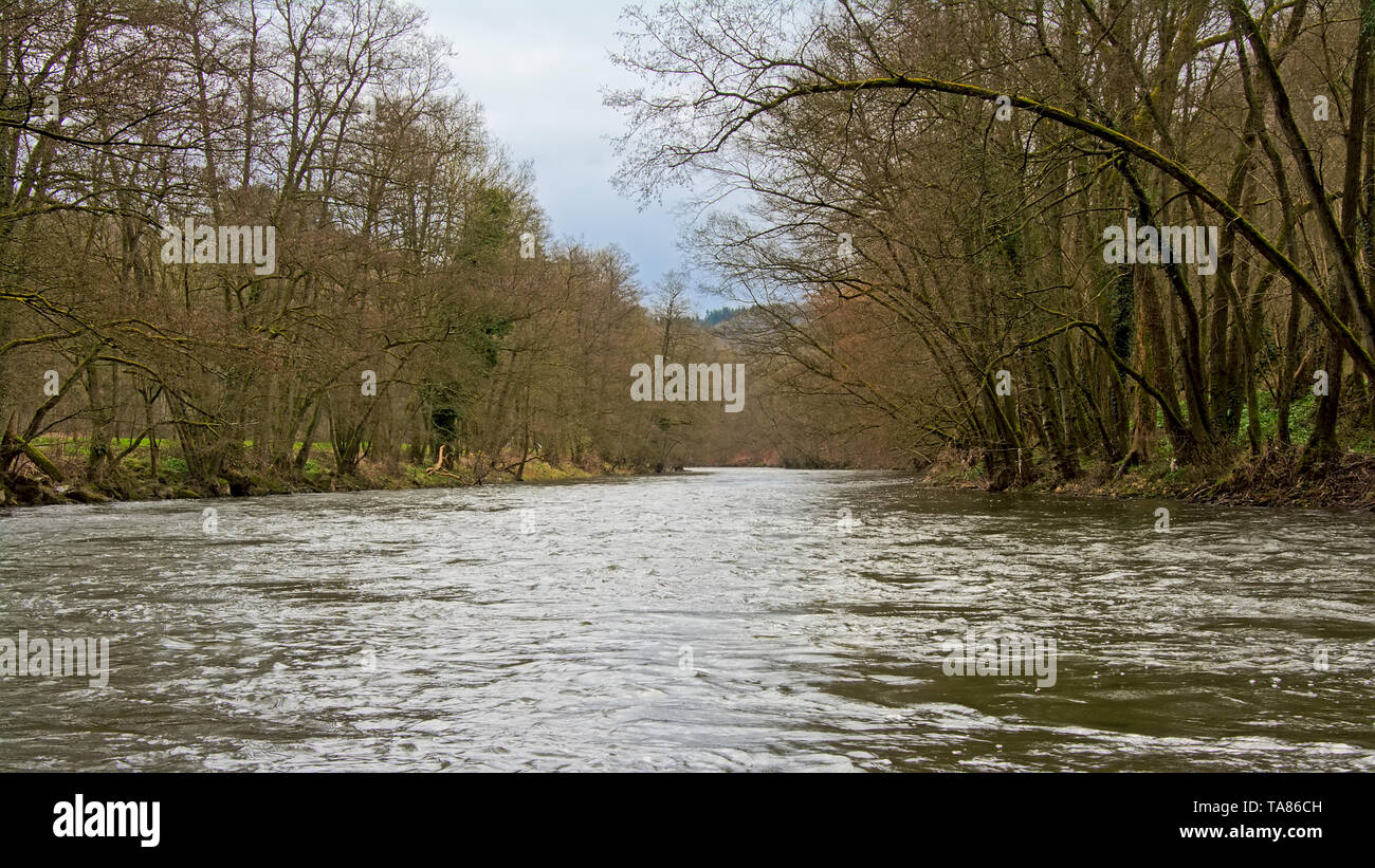 River Ourthe in Ardennes in winter with bare trees on the shores, Liege ...