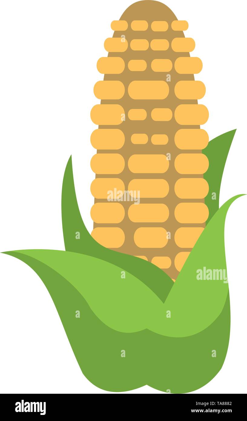 Corn fresh vegetable cartoon isolated Stock Vector Image & Art - Alamy
