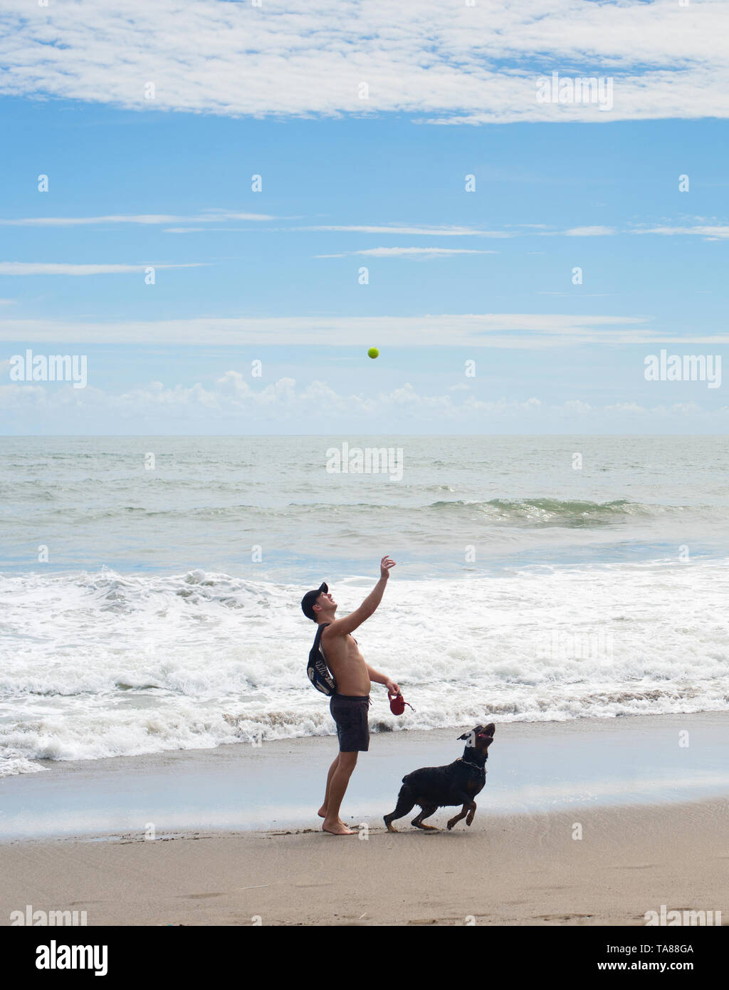 Dog beach fun ball hi-res stock photography and images - Alamy