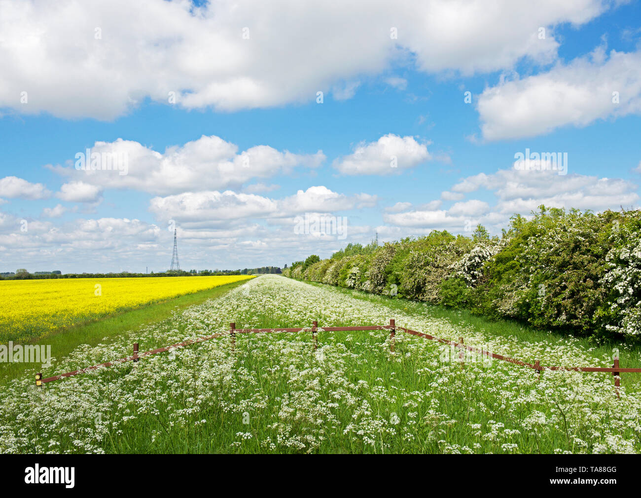 Blacktoft sands, an RSPB nature reserve in East Yorkshire, England UK ...