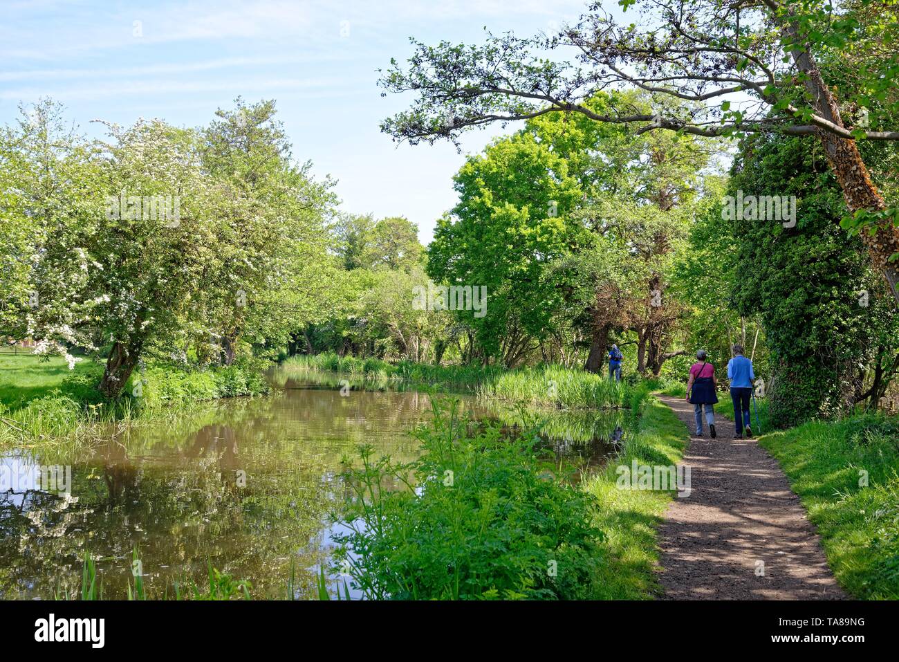 Walkers on the towpath of the River Wey navigation canal on a summers ...