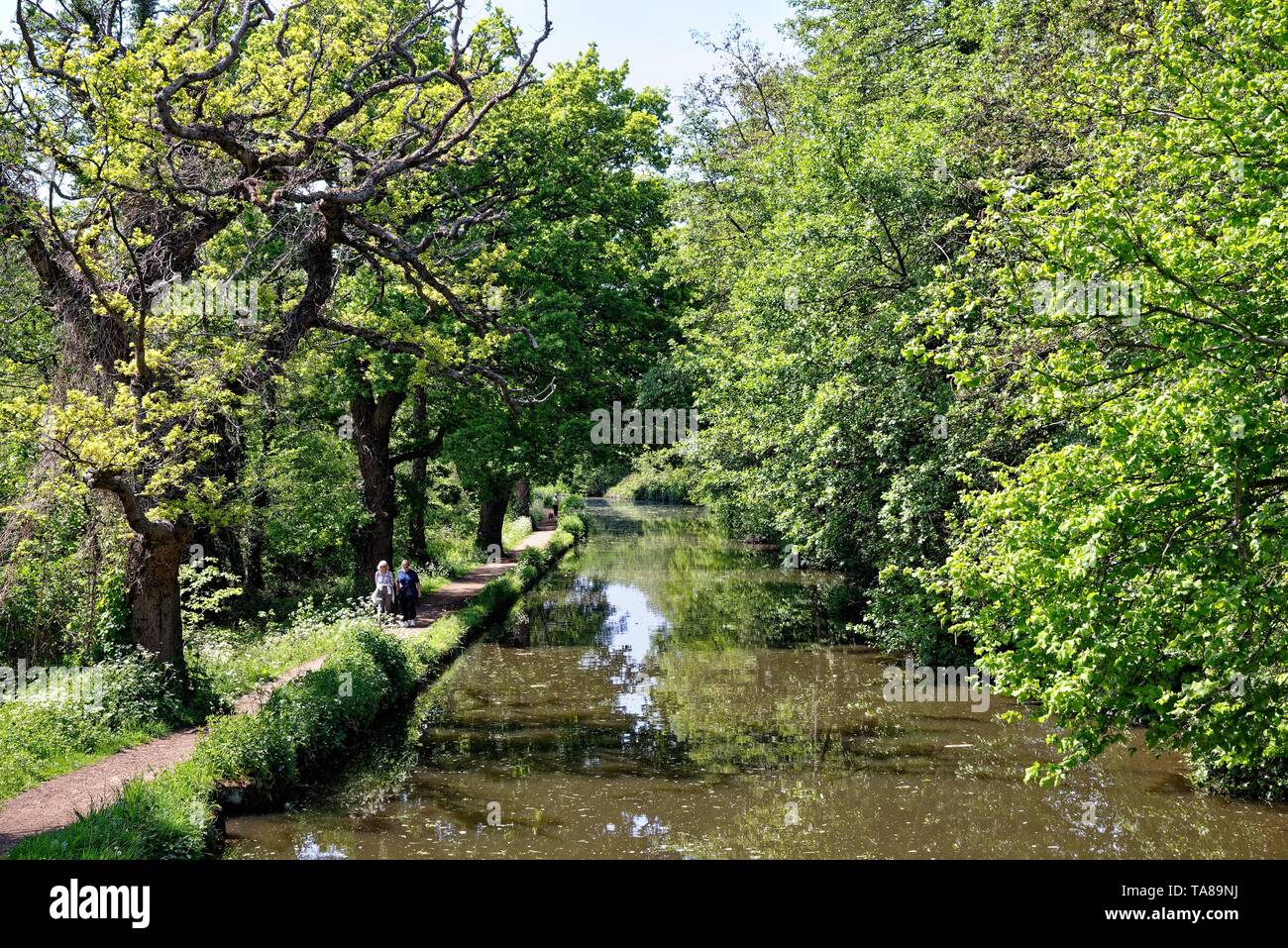 Two elderly woman walkers on the towpath of the River Wey navigation ...