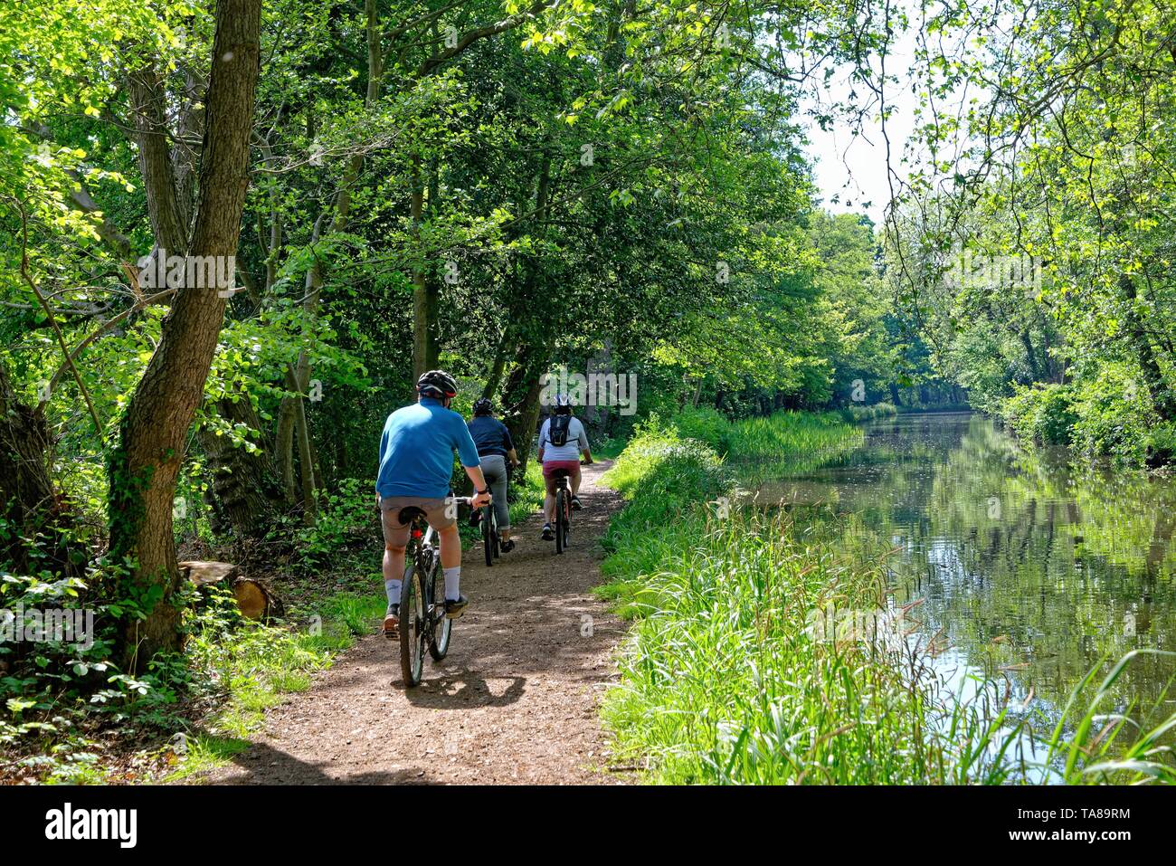 Cyclists on the towpath on the River Wey Navigation canal on a summers ...