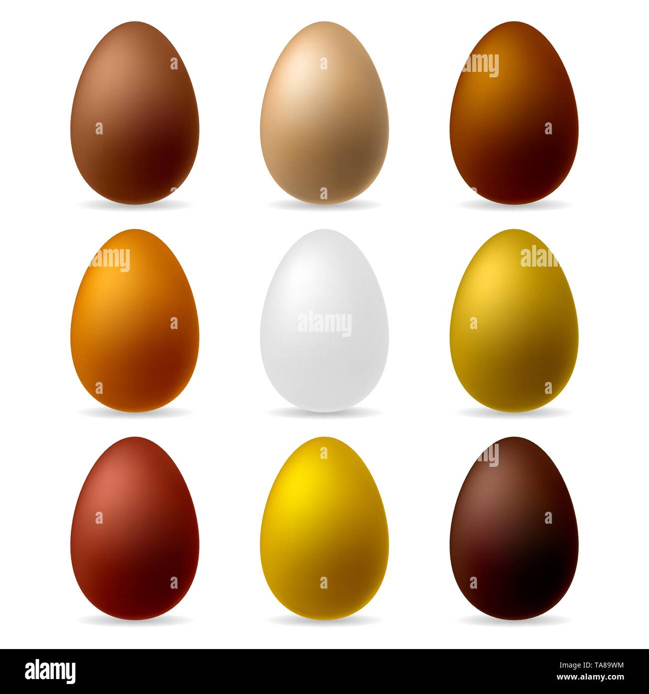 Set of realistic natural color chicken eggs isolated on white ...