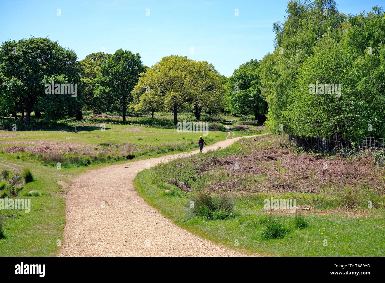 Wide view of a receding footpath with a woman walking in the distance ...