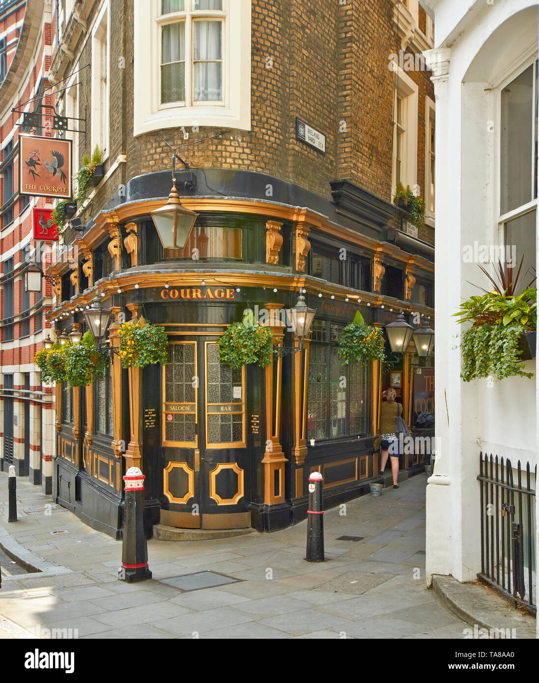 LONDON THE COCKPIT PUBLIC HOUSE ST ANDREWS HILL AND YELLOW FLOWERS IN ...