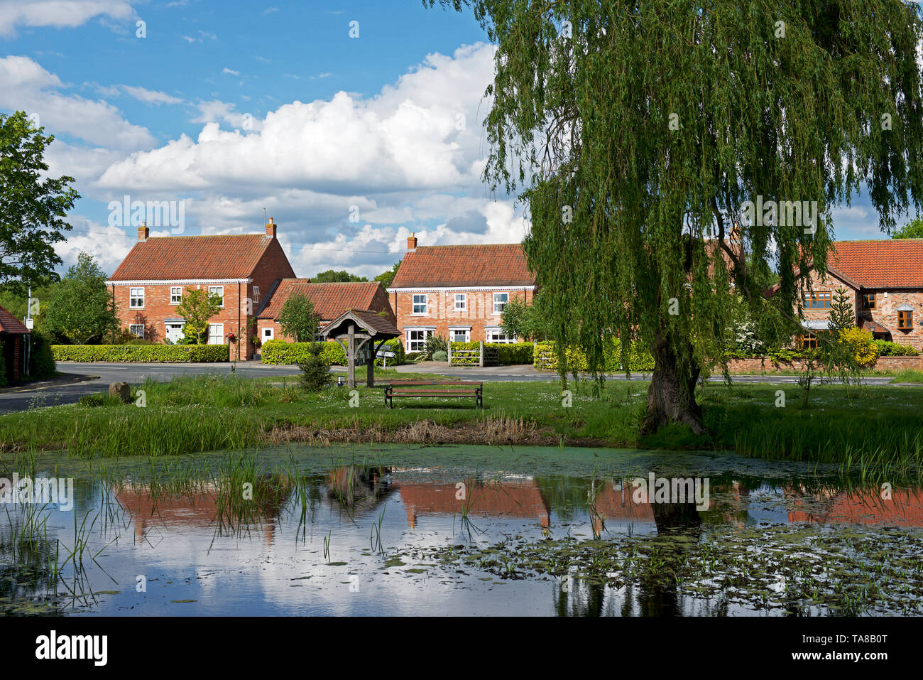 The village pond, Skipwith, North Yorkshire, England UK Stock Photo - Alamy
