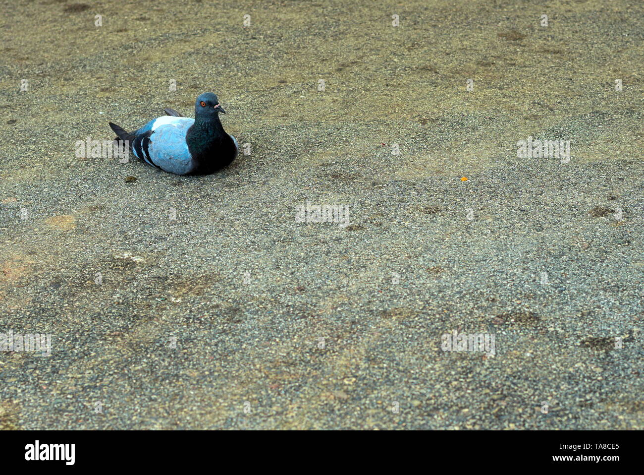 Judging look hi-res stock photography and images - Alamy