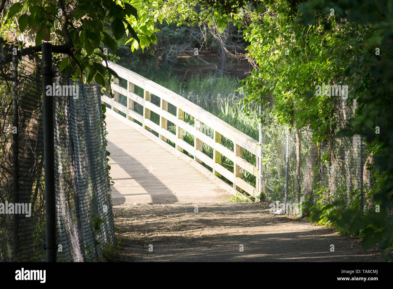 The wood bridge from the picnic area at sunken meadow state park with a ...