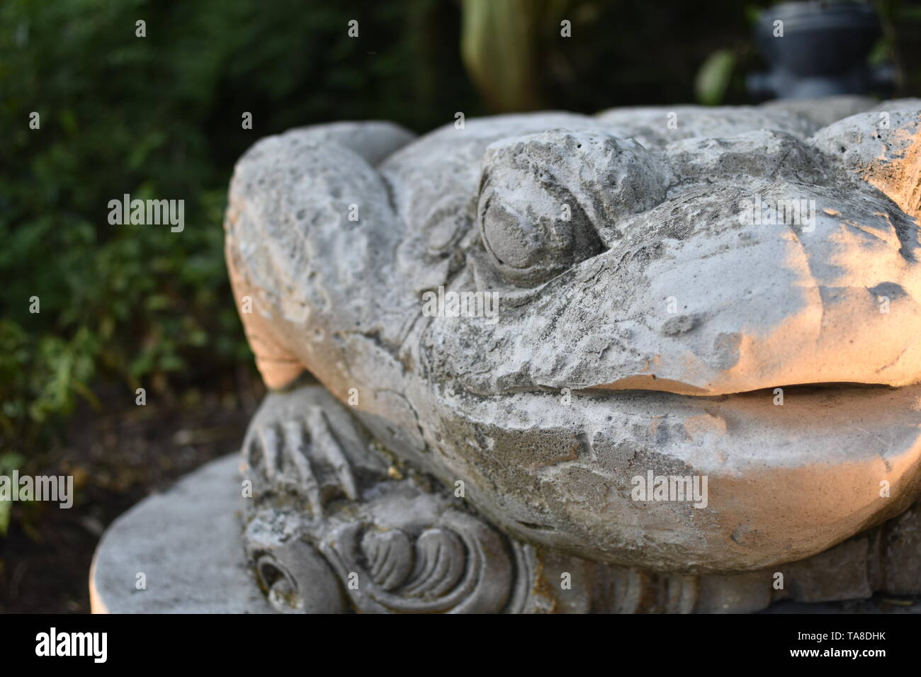 The Disney Frog Stock Photo - Alamy