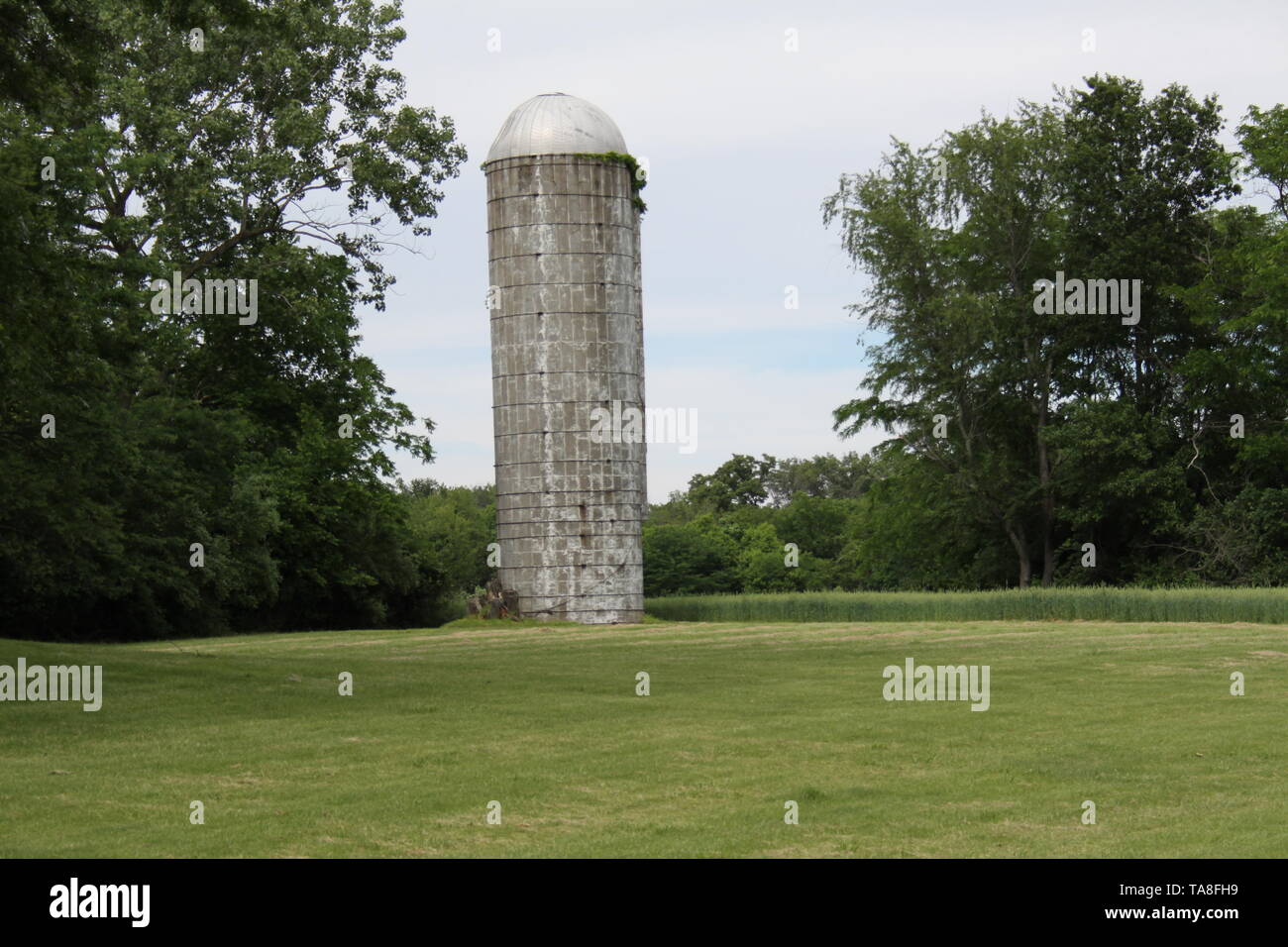 Tall Silo High Resolution Stock Photography and Images - Alamy