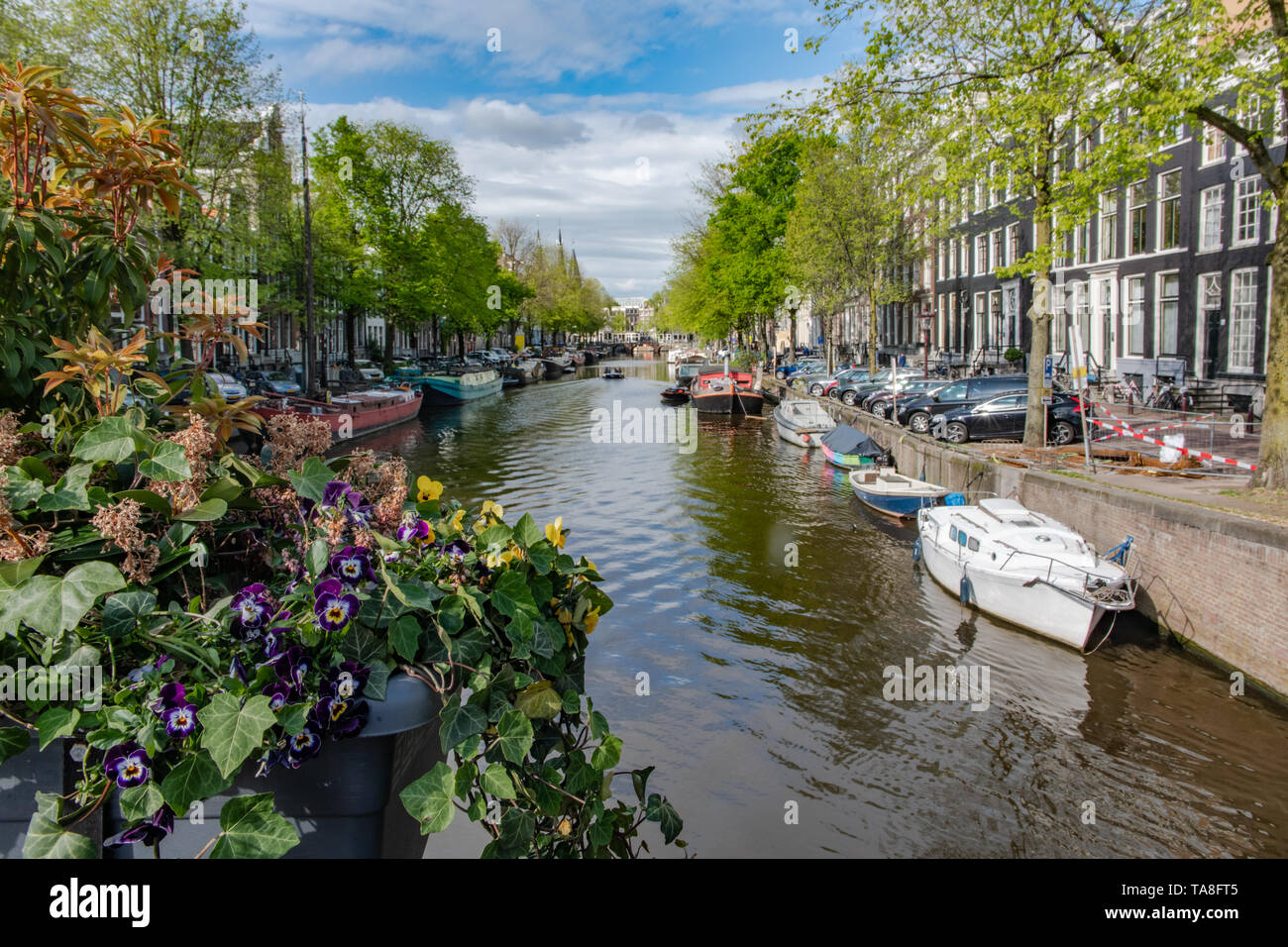 Amsterdam canal with flowers - canal boats line a European canal in ...
