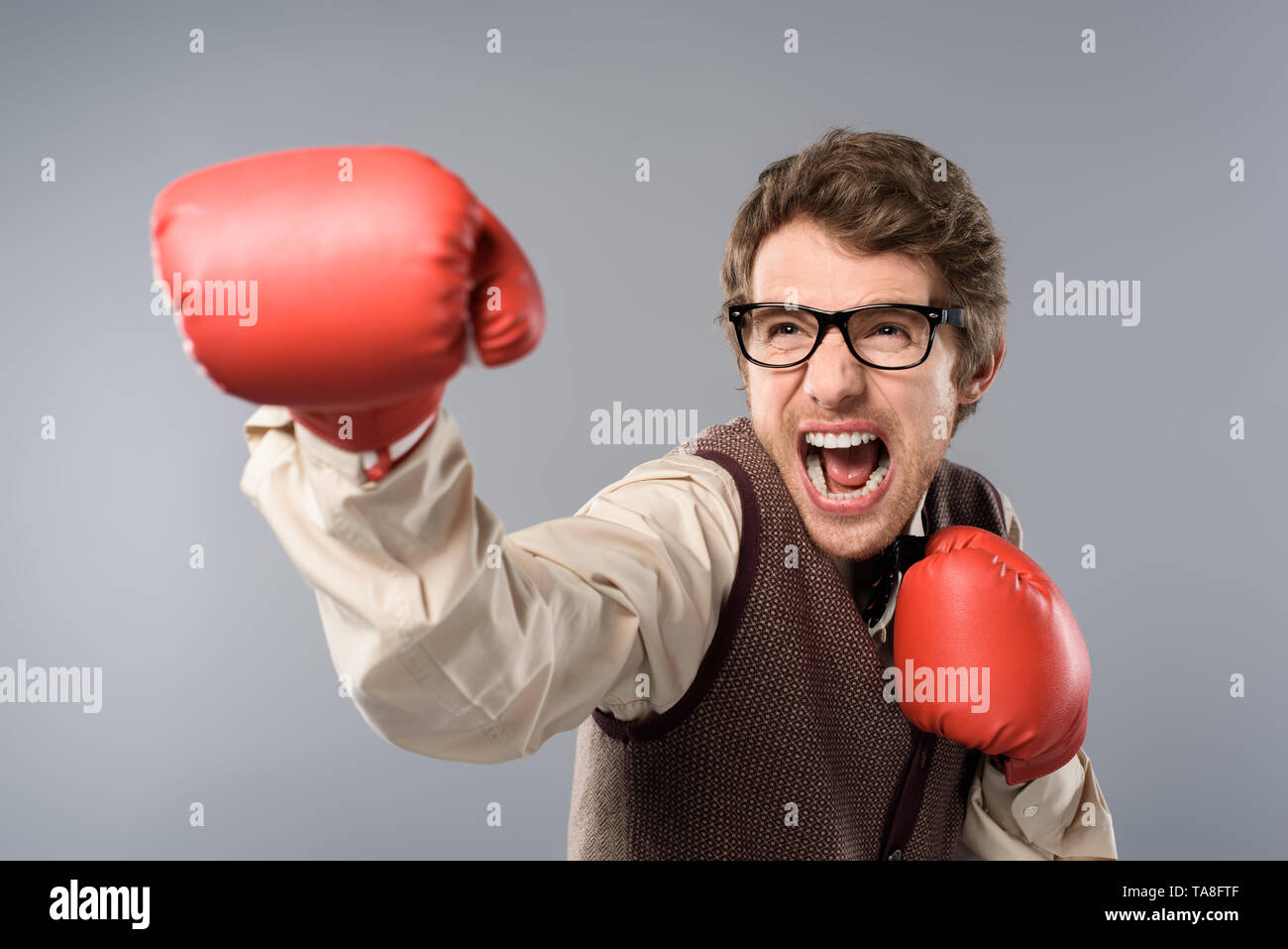 angry man in glasses and boxing gloves screaming on grey background ...