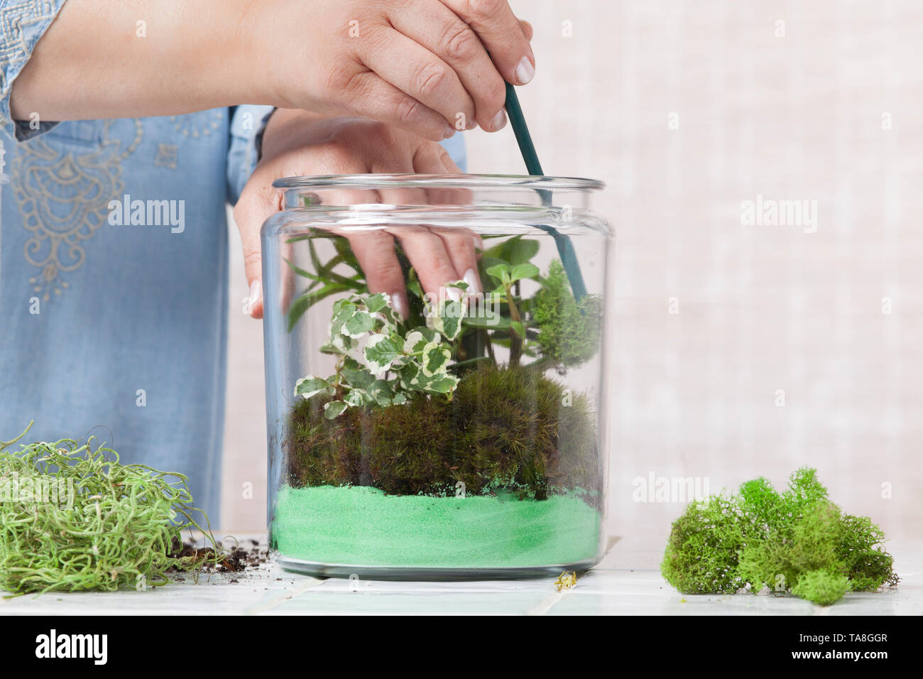Woman Positioning Plants in Glass Terrarium Stock Photo - Alamy