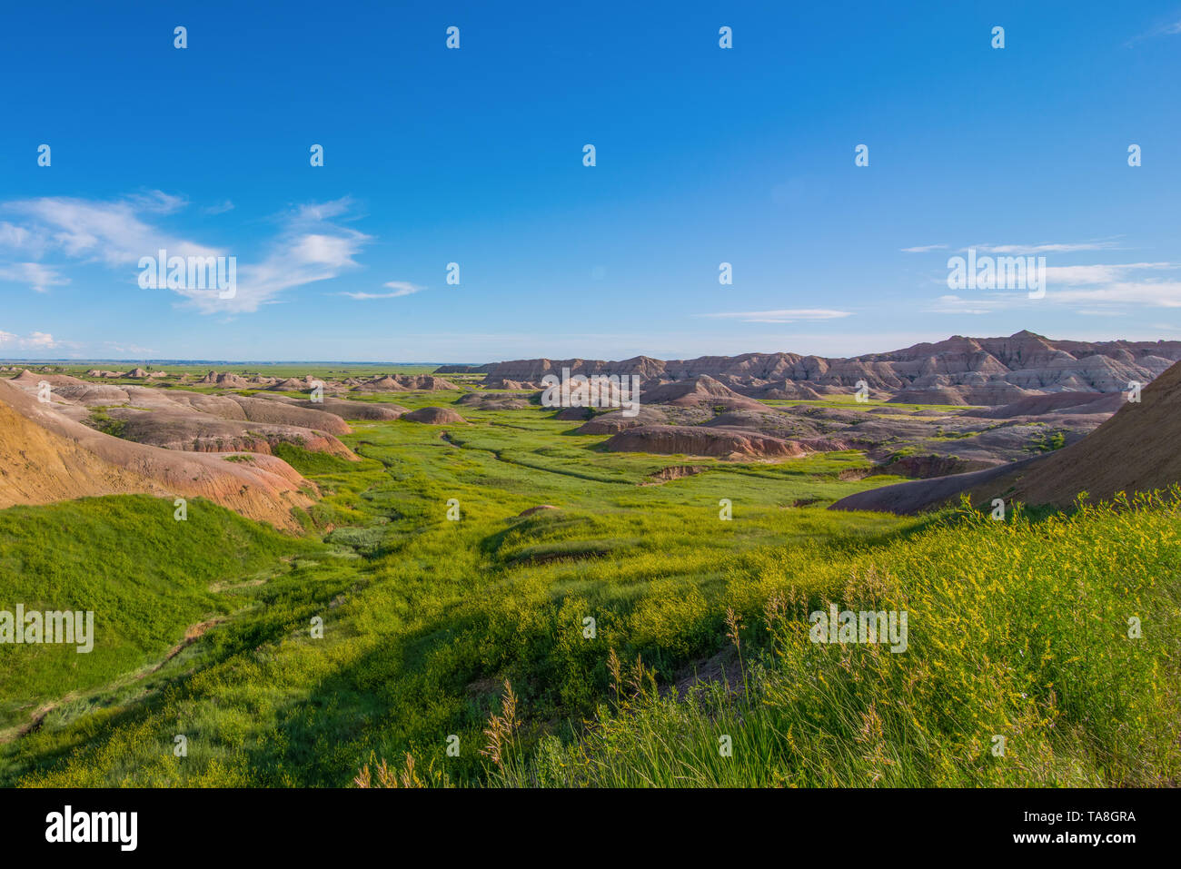 Badlands National Park - Landscape of grasslands and eroded rock ...