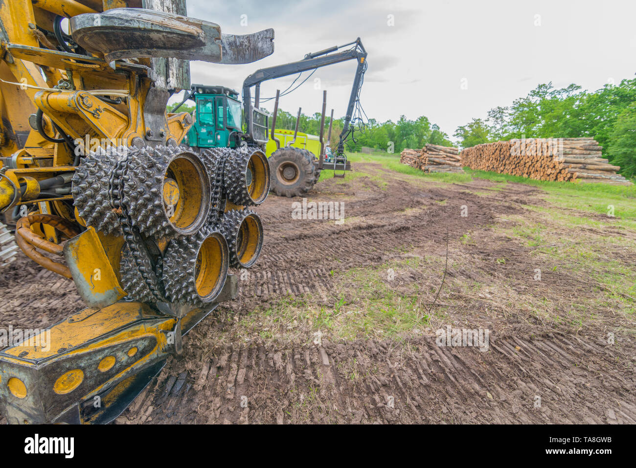 Pile of stacked trees with big machines and logging equipment from ...