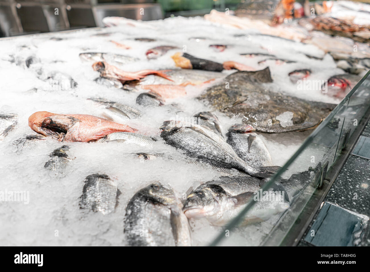 Fresh fish, cuttlefish and shrimp for sale at the fish market France ...