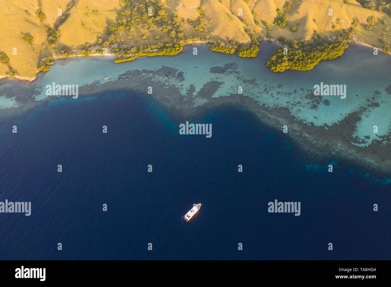 Coral Reef High Resolution Stock Photography and Images - Alamy