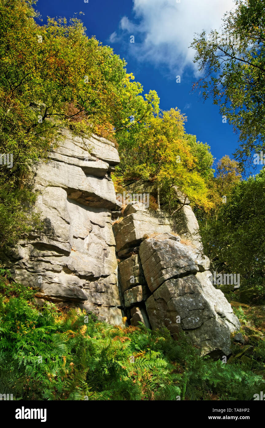 Rivelin rocks hi-res stock photography and images - Alamy