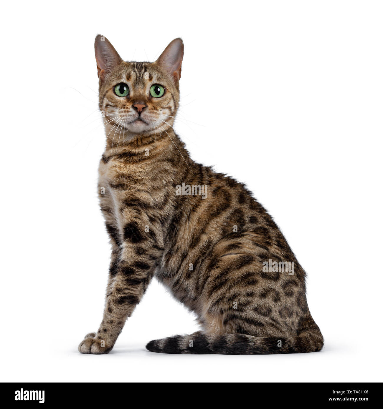 Eye like character Cut Out Stock Images & Pictures - Alamy