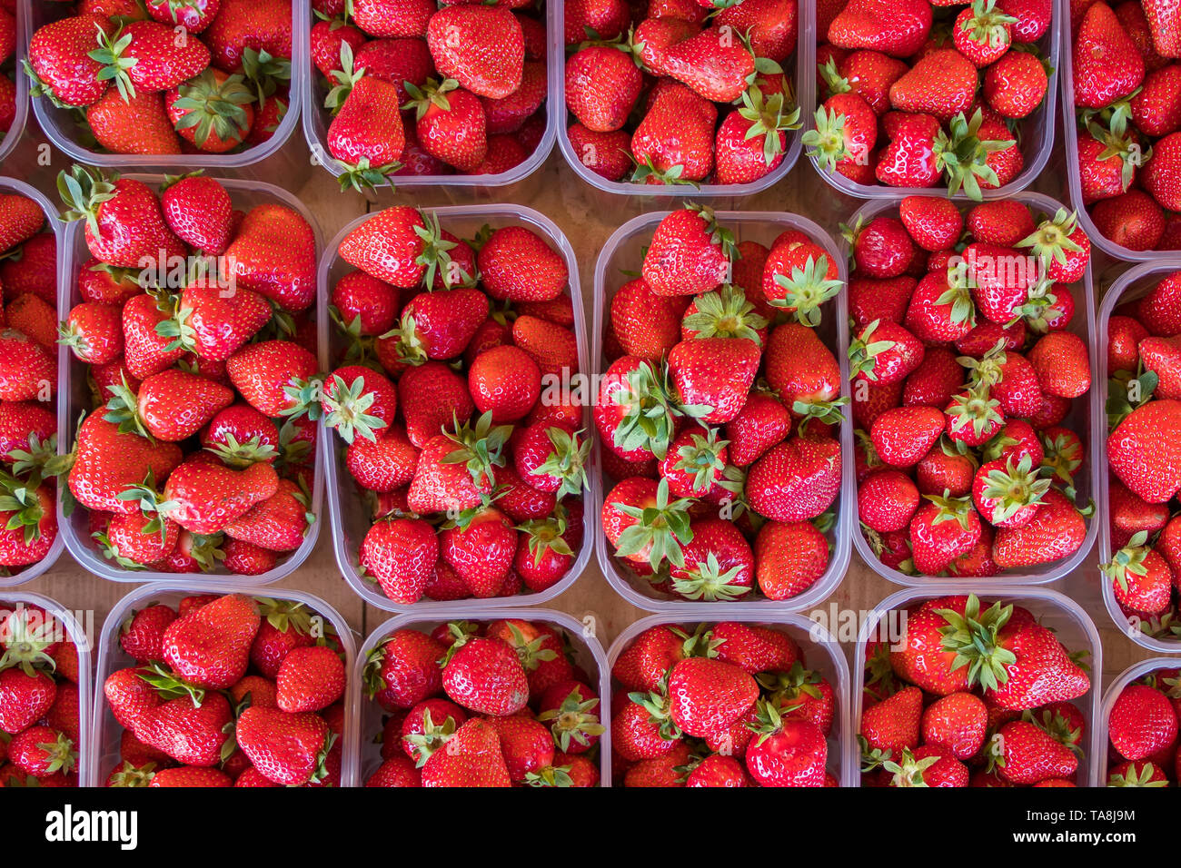 Fresh strawberries in plastic boxes Stock Photo - Alamy