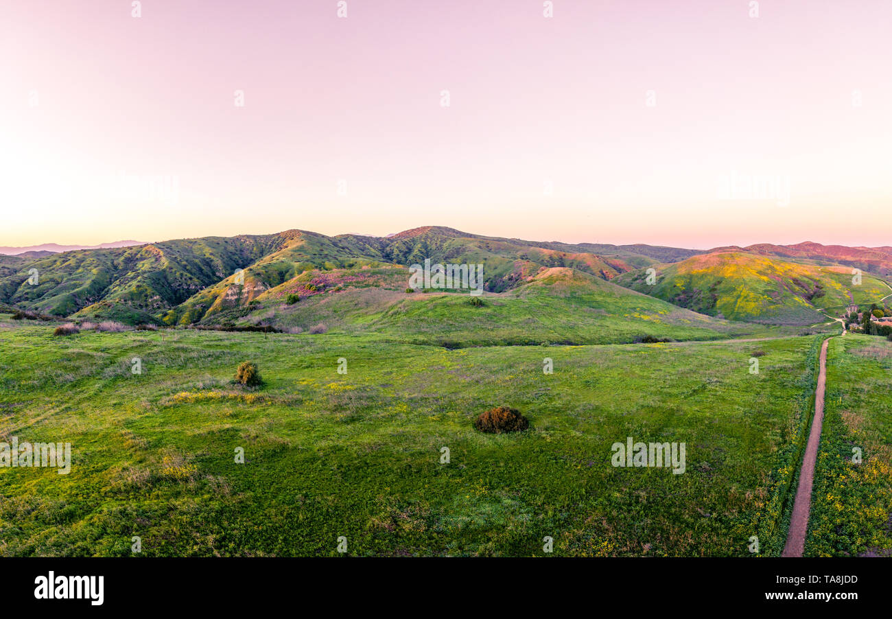 A warm sunset over dirt hiking trails in field of mustard. Image ...