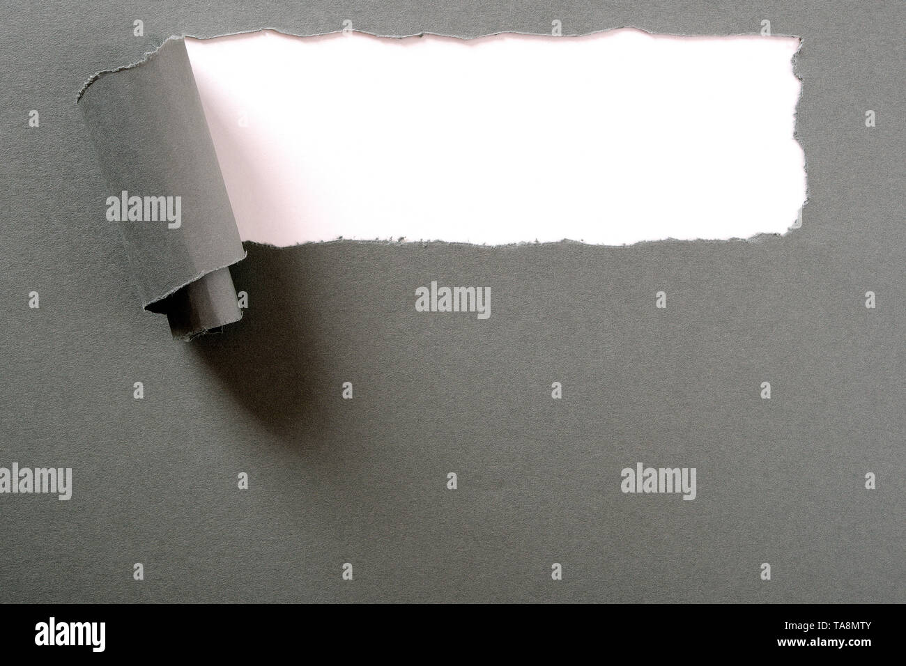 Gray paper torn ripped strip white background Stock Photo - Alamy