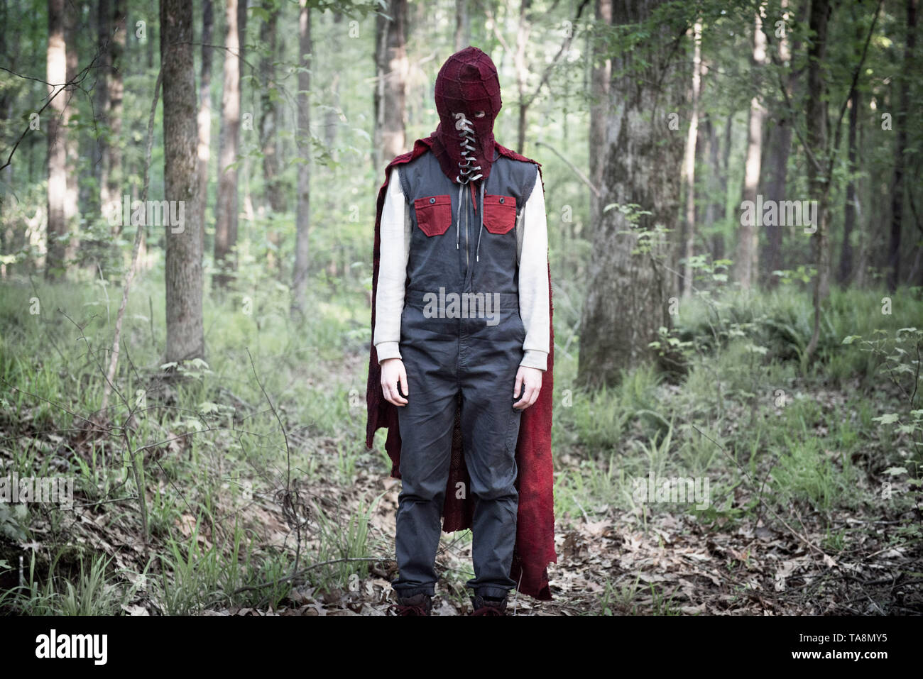 BRIGHTBURN, Jackson A. Dunn, 2019. ph: Boris Martin / © Screen Gems ...