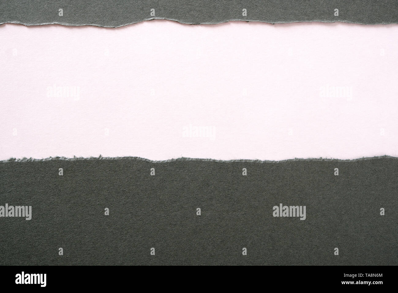 Gray paper torn ripped strip white background Stock Photo - Alamy