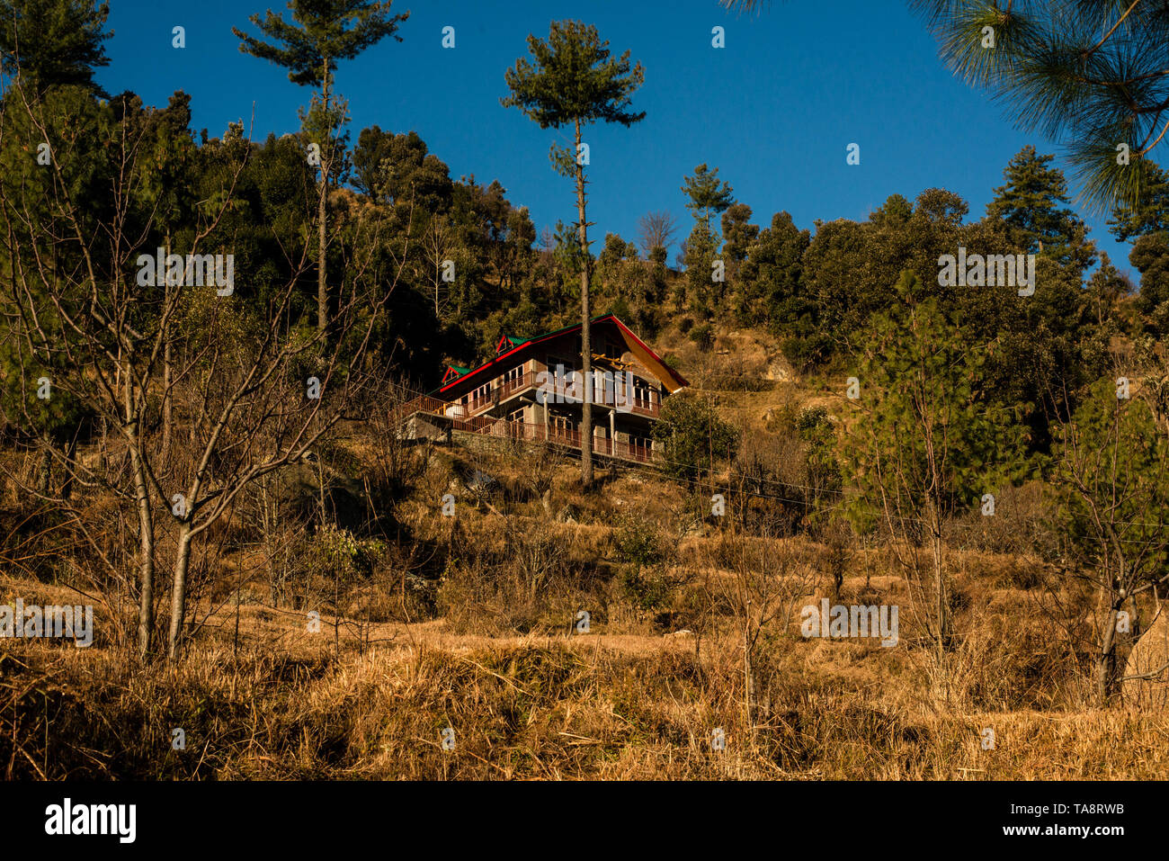Typical wooden alpine house in himachal in himalayas - India Stock ...