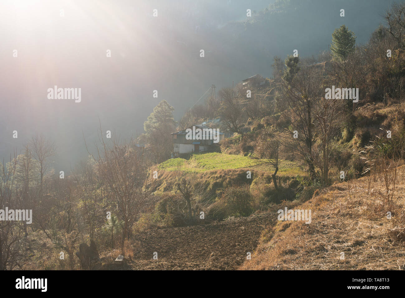Typical wooden alpine house in himachal in himalayas - India Stock ...