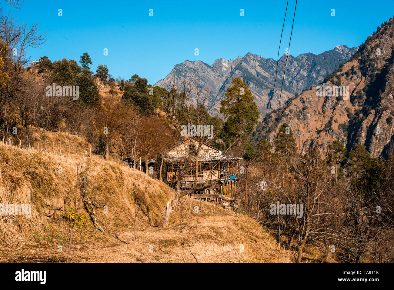 Typical wooden alpine house in himachal in himalayas - India Stock ...