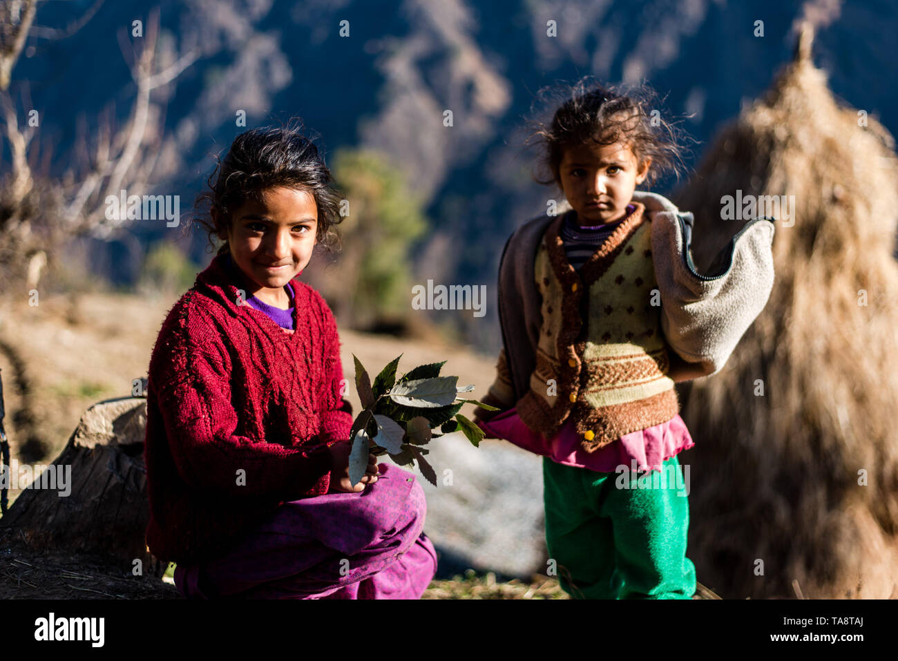 Kullu, Himachal Pradesh, India - January 17, 2019 : Portrait of Girl in ...