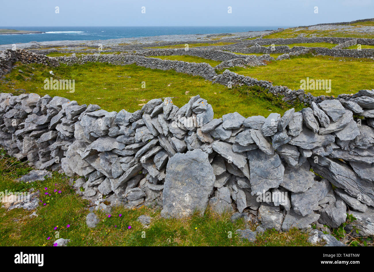 West coast. Inishmore Island, Aran Islands, Galway County, West Ireland ...