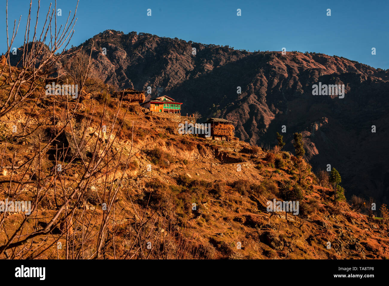 Typical wooden alpine house in himachal in himalayas - India Stock ...