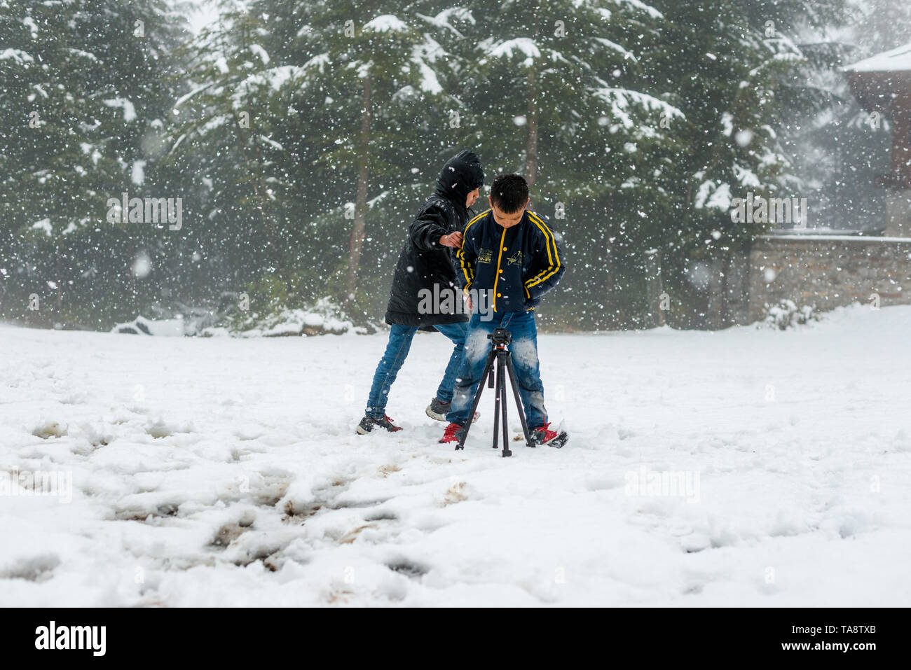 Kullu, Himachal Pradesh, India - January 22, 2019 : kids playing with ...