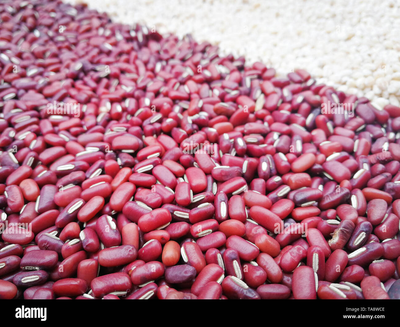 Bean seeds texture hi-res stock photography and images - Alamy