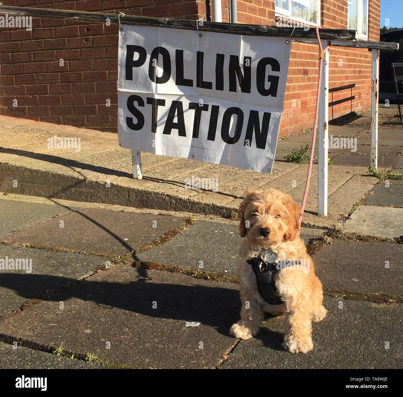 Behaves hi-res stock photography and images - Alamy