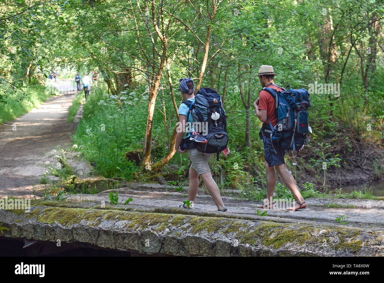 Pilgrims walk hi-res stock photography and images - Alamy