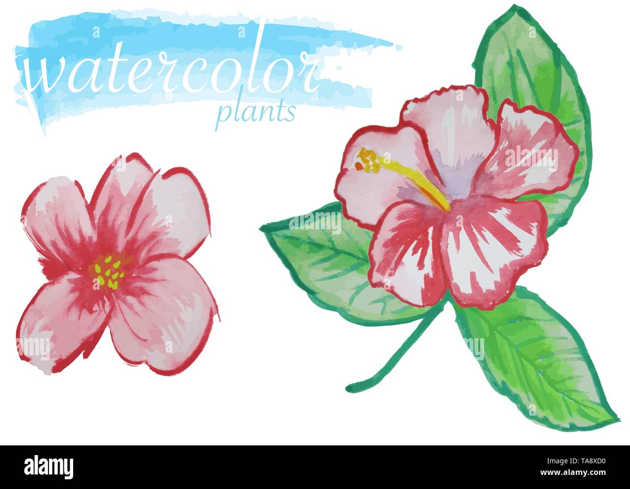 Red Watercolor Flower Set Stock Vector Image & Art - Alamy