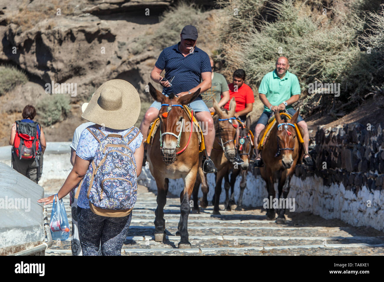 Santorini donkey rides hi-res stock photography and images - Alamy