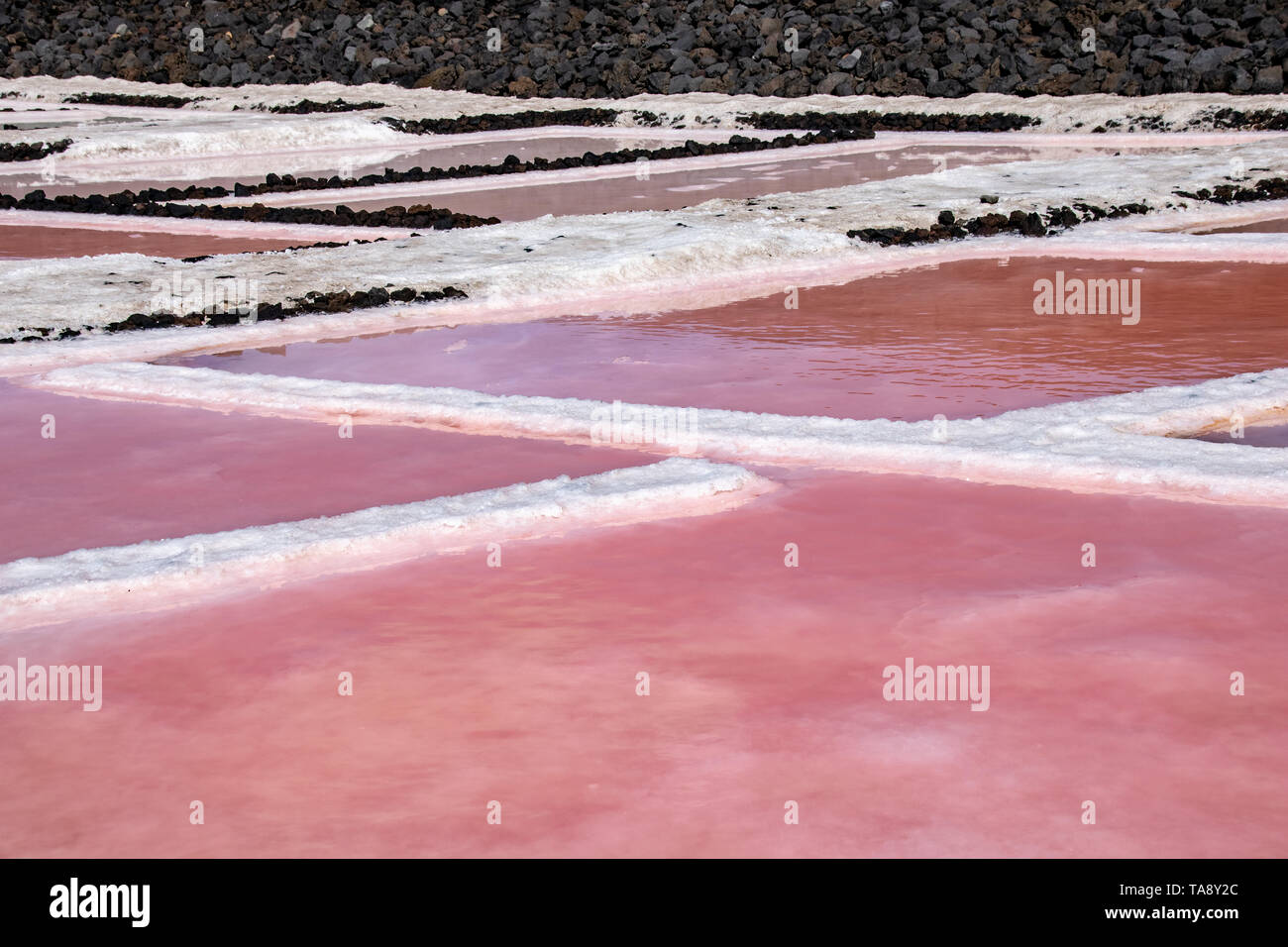 Salination hi-res stock photography and images - Alamy